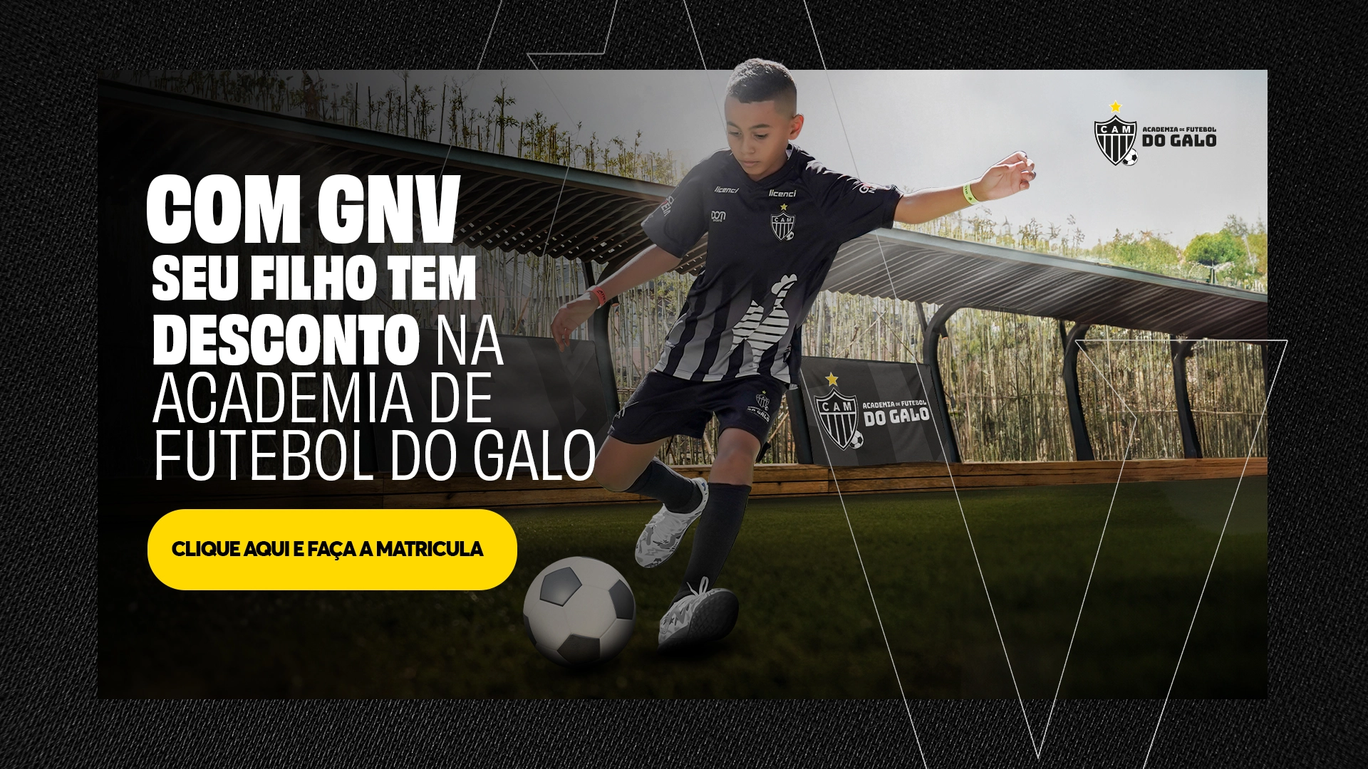 Galo Na Veia